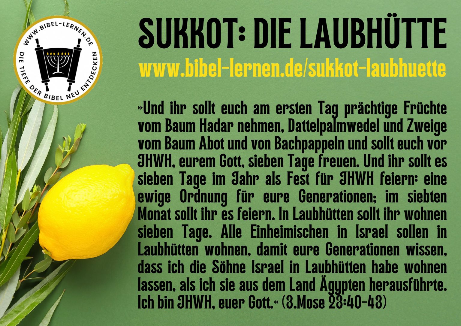 SUKKOT: DIE LAUBHÜTTE – Bibel Lernen